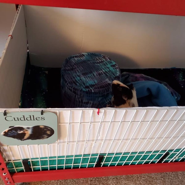 Guinea Pig Name Tag, Guinea Pig Accessories, Pet Tag, Guinea Pig ...