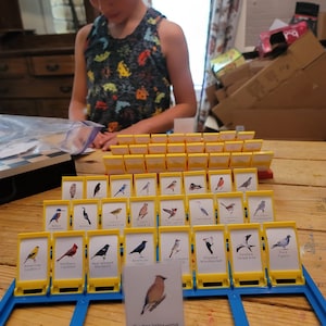 Push Pin Poke Montessori Fine Motor Skills Printable Cards - Etsy