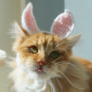 Bunny Rabbit Ear Hat for Cats | Etsy