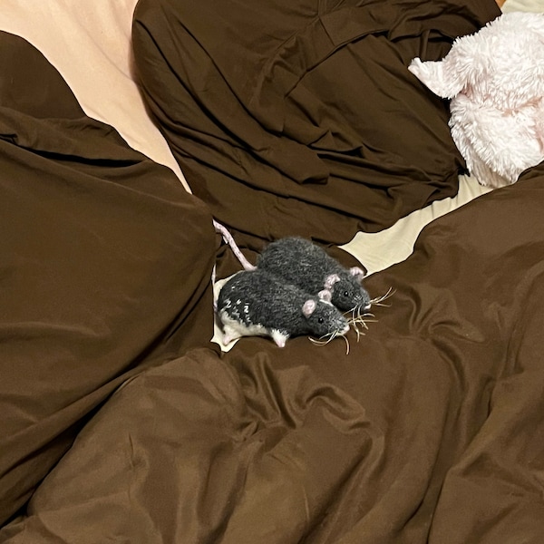 Knitted Realistic Rat Toy * Custom Rat Replica as Pet Memorial Gift - Etsy