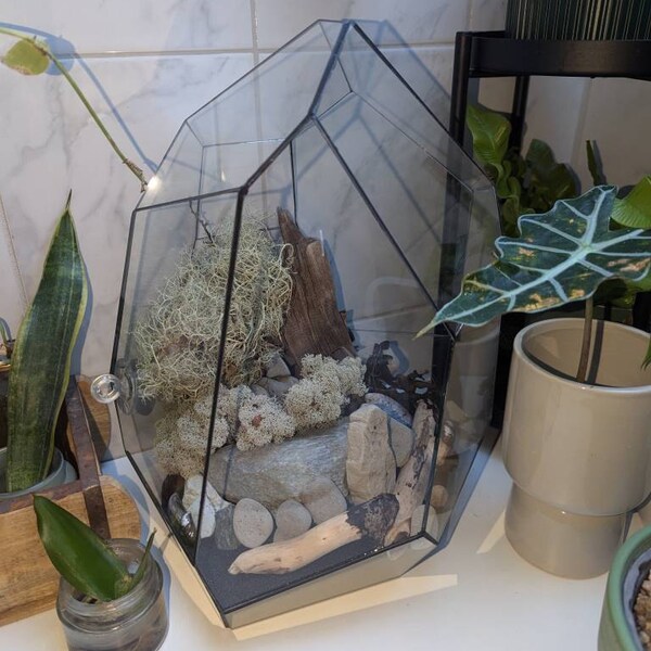 Waterproof 16.5 Inches 42 Cm Geometric Terrarium Phobos - Stunning ...