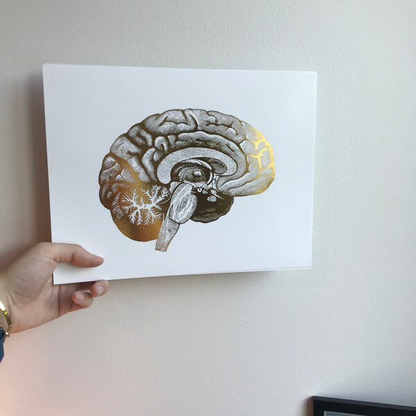 Neuroscience Gift - Neurosurgeon Gift - Brain Anatomy Print - Gold Foil ...