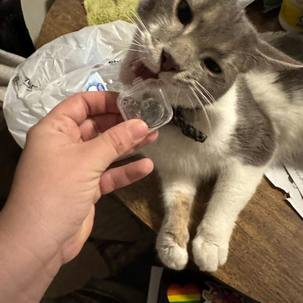 Tadpole Mini Jar - Baldur's Gate 3 Mind Flayer Illithid Parasite ...