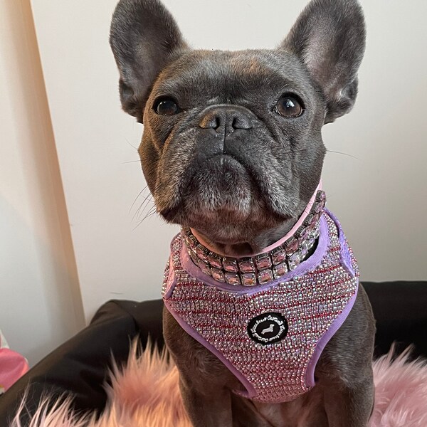 Pink Glam Extreme Bling Harness - Etsy
