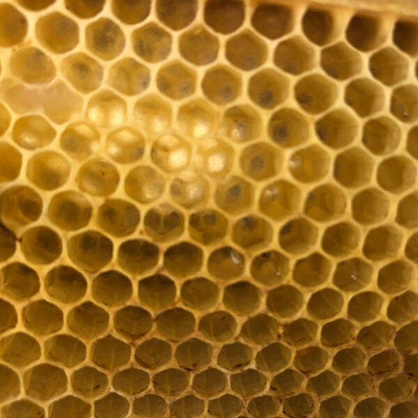 Fox Bag Tag/zip Pull Kids Party Favour Kids Gift Bag Tag Zipper Pull ...