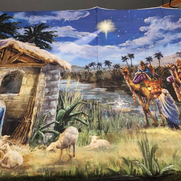 Texas Pride Quilt Pattern by Debonaire Designs ( 2 1/2 Inch Strip ...