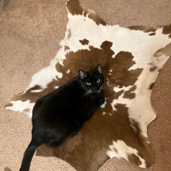 Buffalo / Bison Rug & Hide blanket and Garment Quality extra Large - Etsy