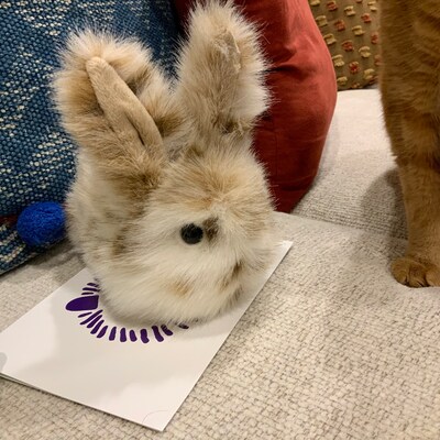 Stuffed Animal Stuffed Easter Bunny Cute Plush Toy Bunny Kawaii Plushie ...