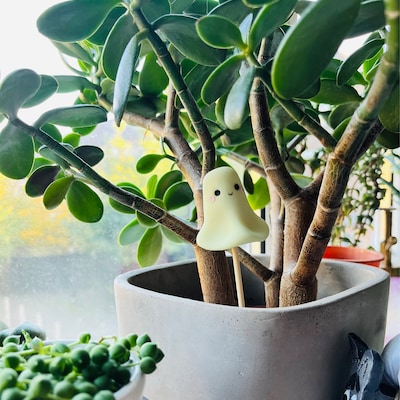 Ghost Plant Pot Accessory, Friend, Pal, House Plants, Garden, Urban ...