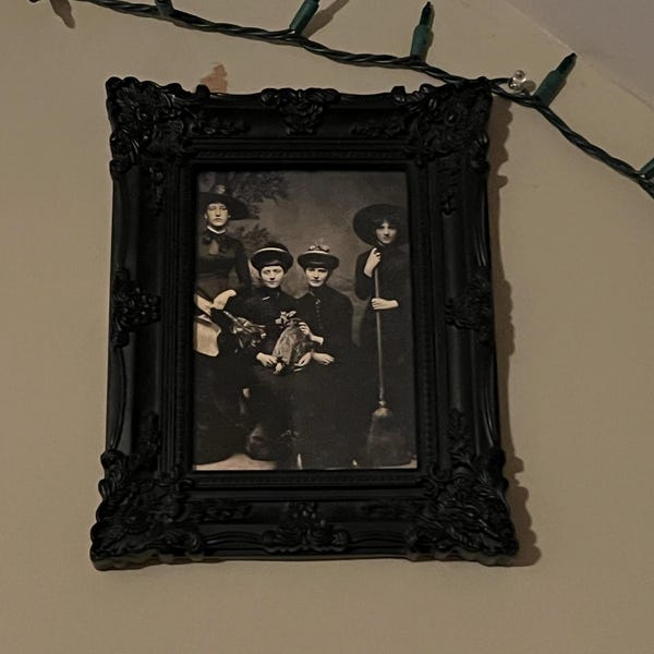 Vintage French Eyes Anatomy Print, Antique Eyeballs Poster, Optometry ...