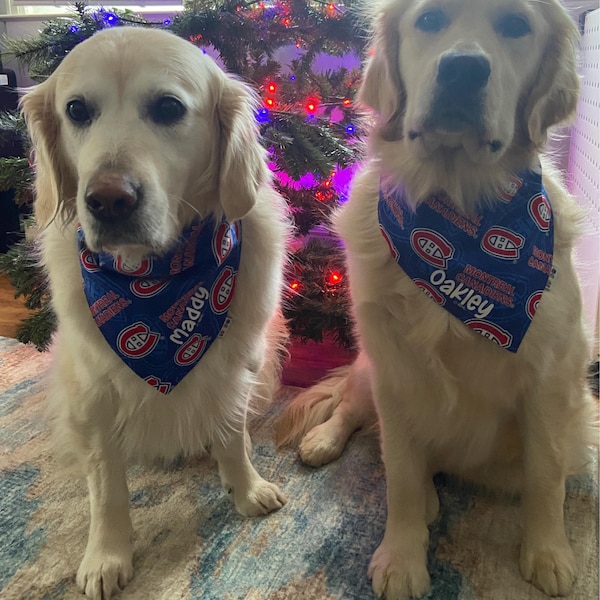 Cincinnati Reds Bandana / Cincinnati Reds / Dog Cat Bandana / Pet ...