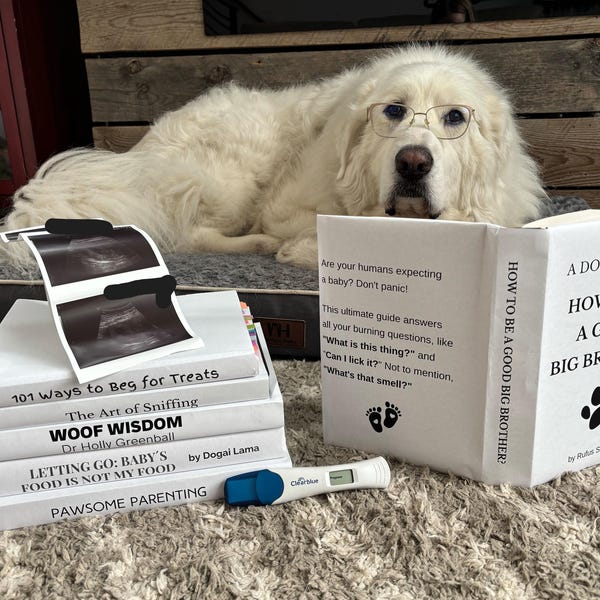 Boy or Girl Gender Reveal Maze Game, Boho Gender Reveal Labyrinth ...