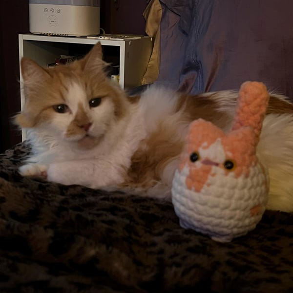 Blind Box Fish Series 1 - Crochet Amigurumi Plushie - Etsy