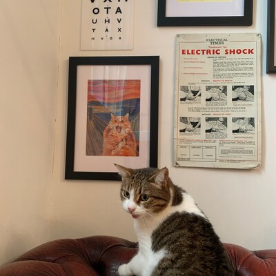 Mondrian and Cat Original Oil Painting Wall Art Unique - Etsy