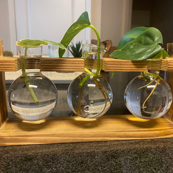 Rare Varigated String of Pearls | String of Hearts | String of Spades ...