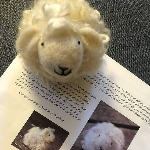 Sheep Needle Felting Kit for Beginners - DIY Wool Craft Kit - Perfect ...