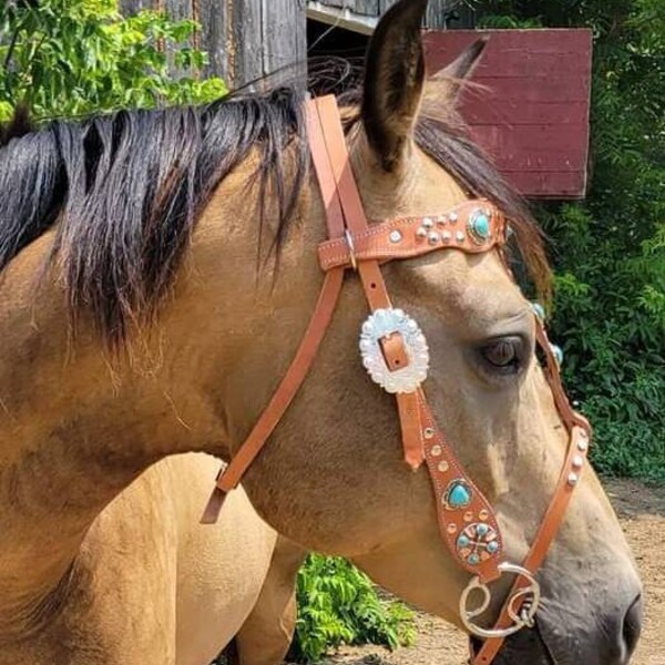 Pair Horse Head Bridle Loop Conchos Stainless Headstall 2 Western Tack ...