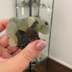 Authentic K-T Boundary kpg Boundary Sediment Layers - Etsy