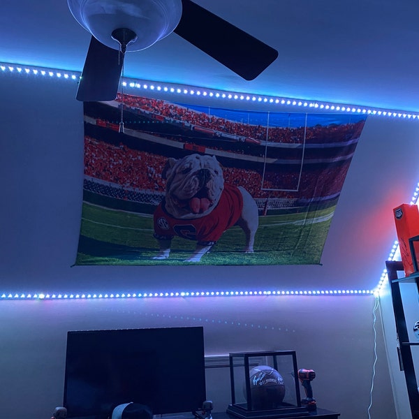 UGA: Georgia Bulldogs Uga X Mascot Photo Picture Print, Graduation Gift ...