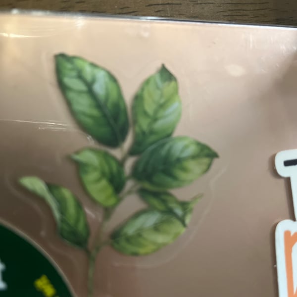 Sticker Pack / 40 Pc. Vintage Style Leaves & Stems Stickers Inspiration ...