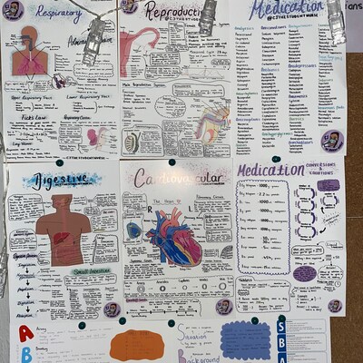 Medication Poster Set - Etsy UK