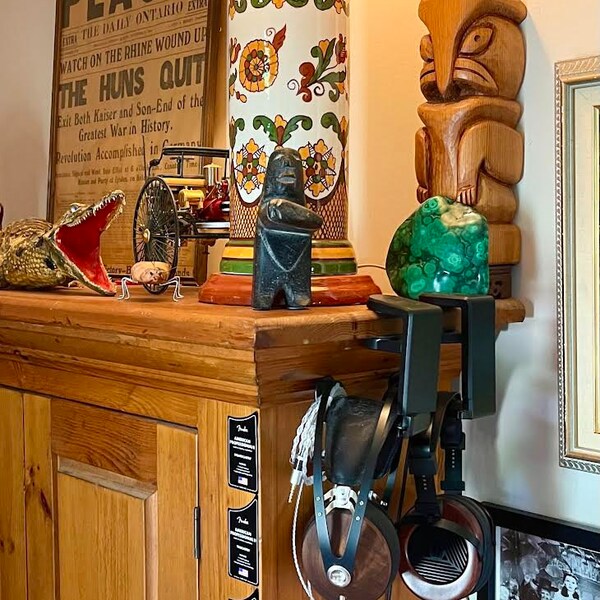 Agatized Turritella Shells - Etsy