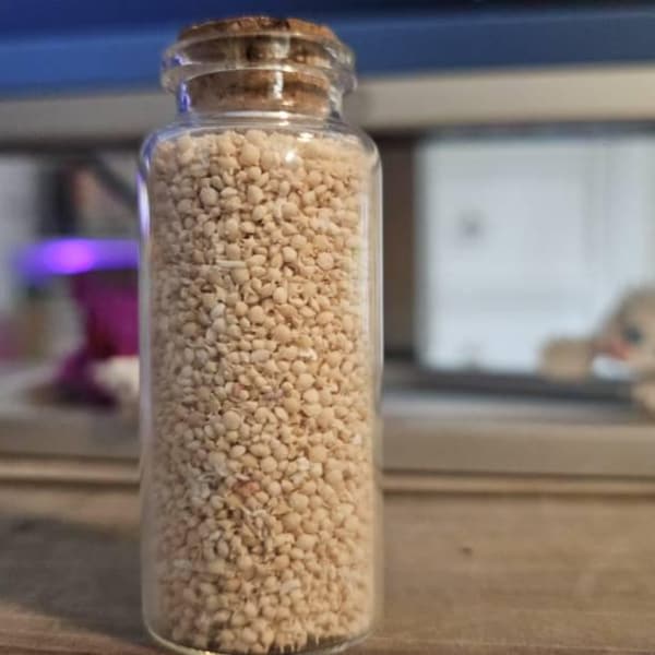 RARE Okinawa Star Sand Jar, Star Shaped Sand, Japan Beach Sand, Sun ...