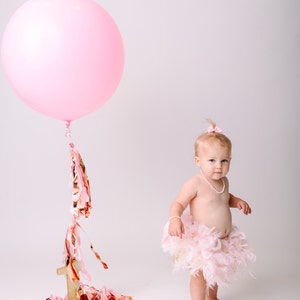 White Swan Iridescent Sequin Girls Feather Pageant Tutu Dress, Girls ...