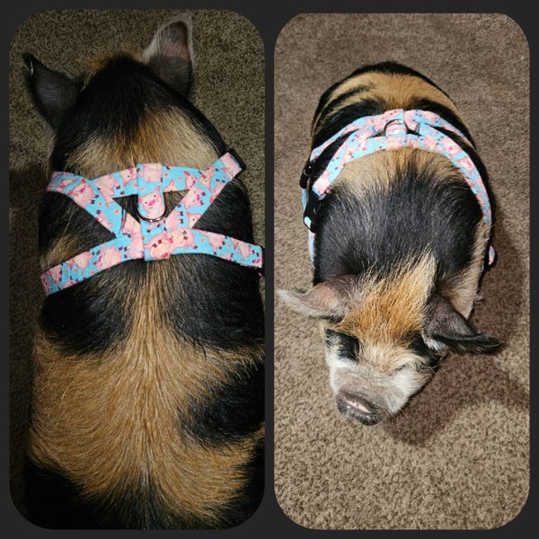 Adjustable Mini Pig Harness - Lilac TD - Etsy