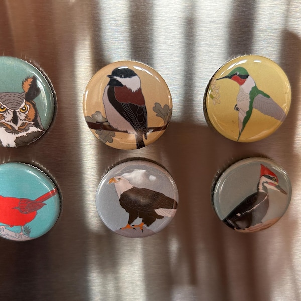 Bird Magnet Gift Set | Choose From 17 Themes | Nature Audubon Birder ...
