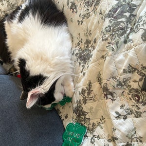 Dinosaur Finger Puppets With Coordinating Volcano Bag Fun and ...