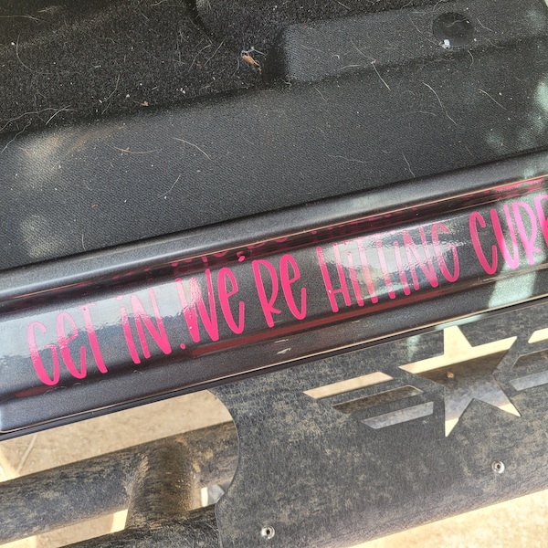 Get in Loser We’re Hitting Curbs | I Hit Curbs Decal | Door Decal ...