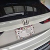 Cheetah Spots License Plate Frame Matches Personalized Plate in Our ...