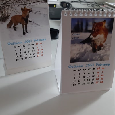 100 Fox Coloring Pages. 2024 PDF Digital Version - Etsy