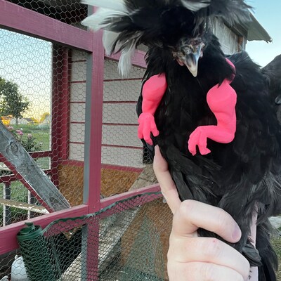 3D Printed Chicken Arms Velociraptor T-rex Dinosaur Arms Various Colors ...