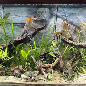 Silver Medley Rock / HD Stone Aquarium Background Rocky Fish Tank ...