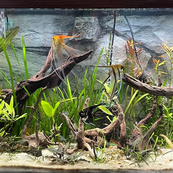 Silver Medley Rock / HD Stone Aquarium Background Rocky Fish Tank ...