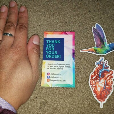 Anatomical Heart Sticker, Real Heart Illustration Decal, Waterproof ...