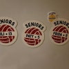 Personalized Volleyball Sticker or Magnet Team Name Sticker or Magnet ...