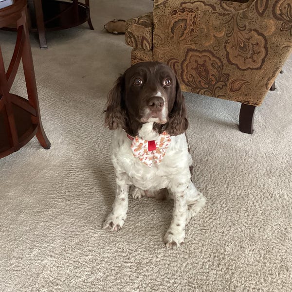 Luxe Blue Sapphire Velvet Key Fob Wristlet | Winter | Rose Gold, Gold ...