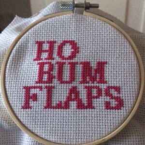Holy Bum Flaps Cross Stitch Kit - Etsy UK