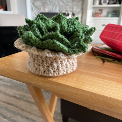 Crochet Succulent Coaster Pattern - Etsy
