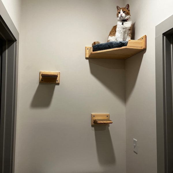 Cat Bed, Corner Cat Perch, Cat Wall Furniture, Cat Shelves, Cat Bed ...
