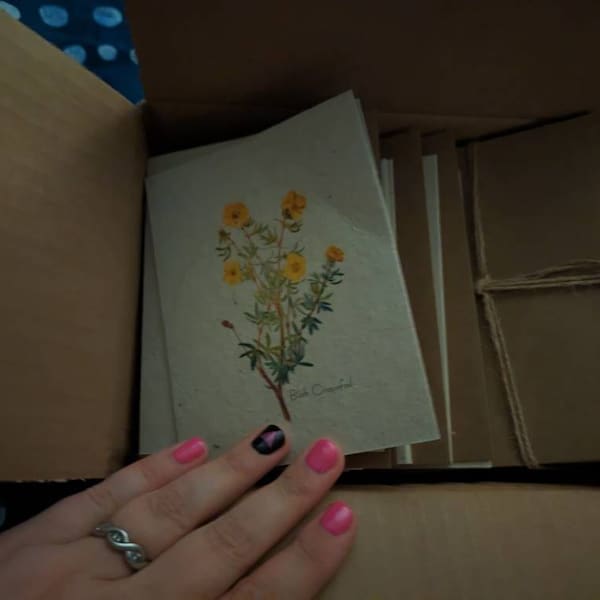 Seed Paper Cards || Blank or Personalized Insert || Hand Drawn || Eco ...