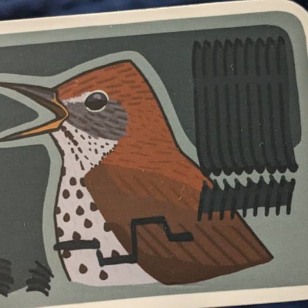 Bird Vinyl Stickers Common Eider, Red Crossbill, and Wood Thrush - Etsy