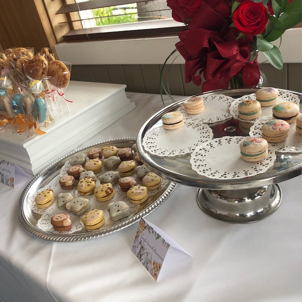 Zoo Animals French Macarons 12 or 24 - Choose Your Flavors - Elephant ...