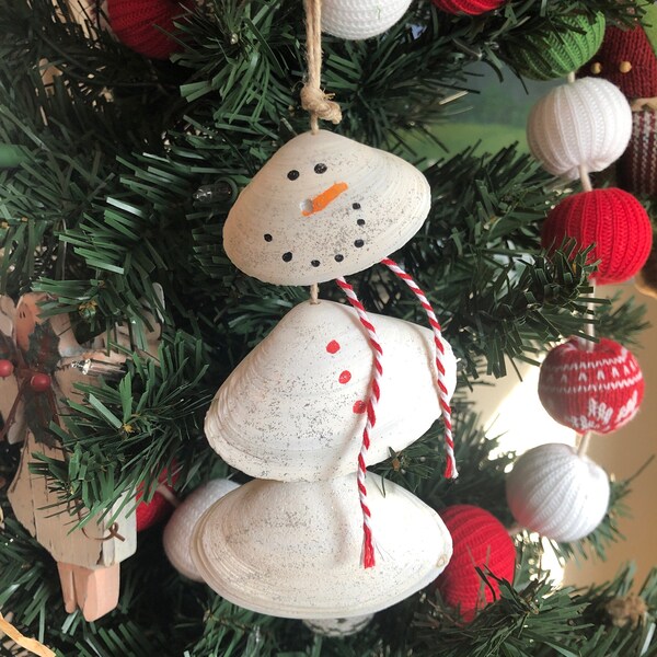 Santa Face Shell From Siesta Key - Etsy