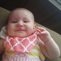 Hidden Long Dog Game Printable Files - Etsy Canada