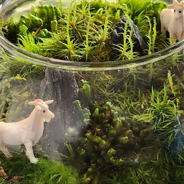 GOAT MINIATURE Farm Animals Figurine Figures Terrarium Dollhouse 1:12 ...