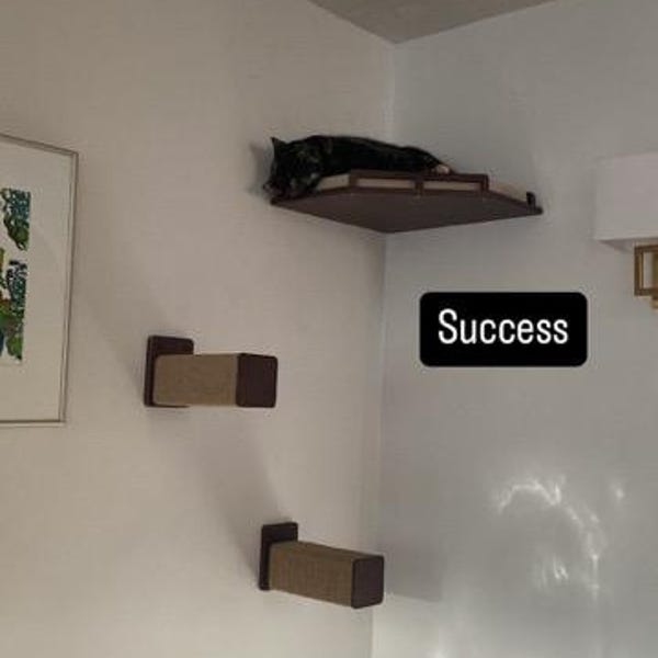 Corner Cat Shelf With Pillow 3 Steps, Cat Corner Wall Bed, Cat Wall ...